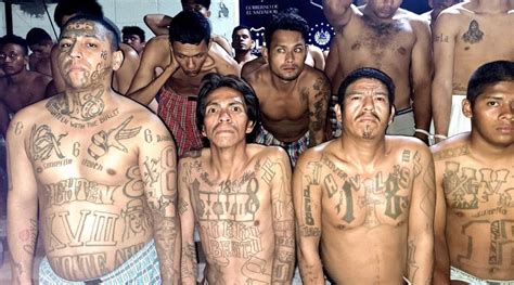 Maras de El Salvador cómo es el ritual de iniciación y qué pasa si un