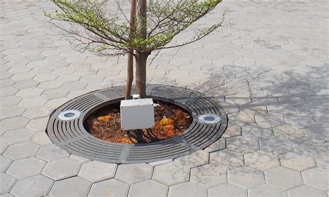 The Babe Things Tree Grates Do To Make A Big Difference Lifestyle Mirror