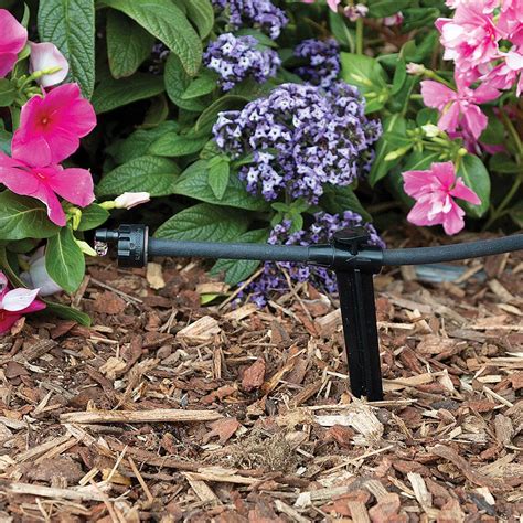 Rain Bird Xeri Bug Drip Emitters