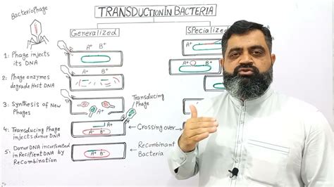 Bacterial Transduction Diagram