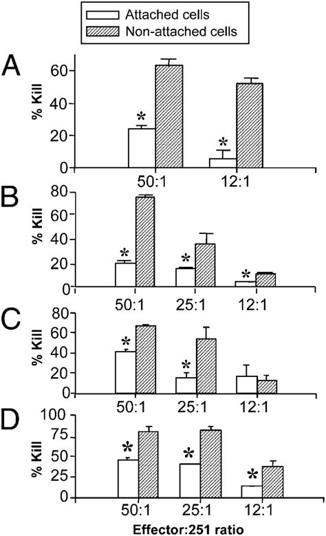 Adherent U251 Cells Are More Resistant To The Cytolytic Actions Of