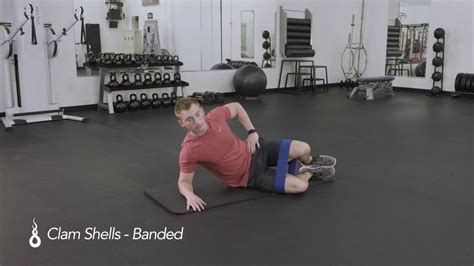 Clam Shells Banded Youtube