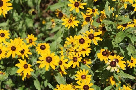 停下来闻闻花香