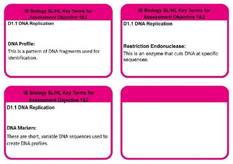 D1 1 Sl Hl Biology Dna Replication Key Terms By Ibscienceclassroom Com