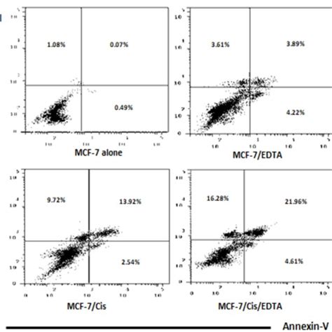 The Inhibitory Percentages For Mcf 7 Cells Post Treatment With