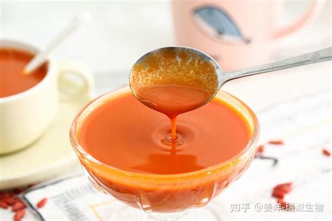 枸杞原浆 知乎