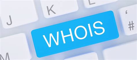 What Is Domain Whois Information Lavender Web Shop