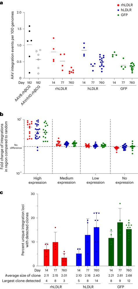 Localization Of Integrated Vector Dna Following I V Administration Of Download Scientific