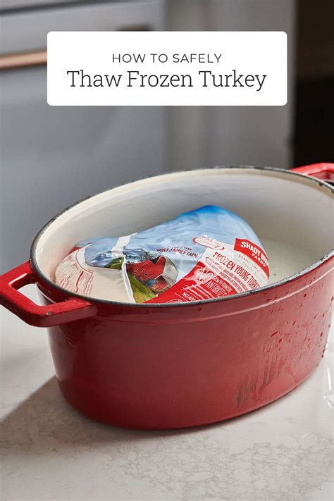 How To Safely Thaw Frozen Turkey — The Mom 100