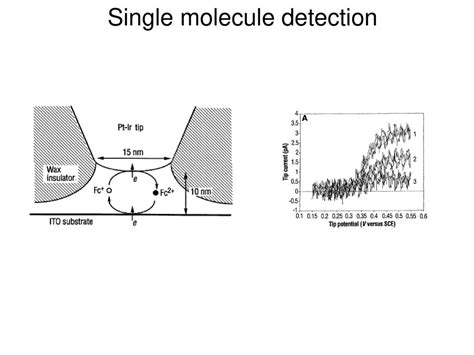 Electrochemistry Of Modified Electrodes Ppt Download