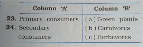 \begin{tabular} { l | l } \hline \multicolumn{1}{c|} { Column 'A' } & \m..