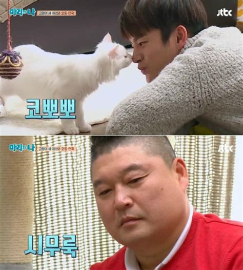 ‘마리와 나강호동 서인국 고양이도 미남을 좋아해 세계일보