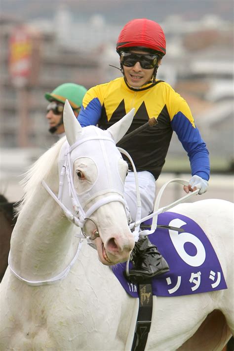 ソダシ 白毛馬史上初のg1制覇で2歳女王に／阪神jf Moment日刊ゲンダイ