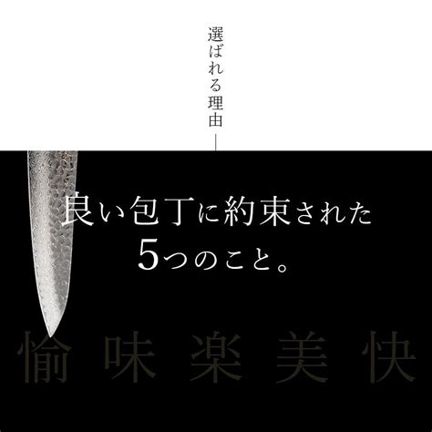 堺孝行 33層 ダマスカス 黒柄 包丁 V金10号 Vg10 牛刀 三徳 本物 33層槌目 鏡面 青木刃物製作所 職人