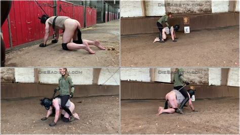 Forumophilia PORN FORUM Сruel Mistress Punish And Humiliate You