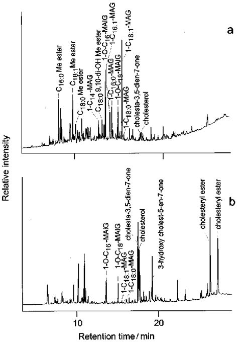 Reconstructed Total Ion Chromatogram From The Gc Ms Of The Neutral Download Scientific Diagram