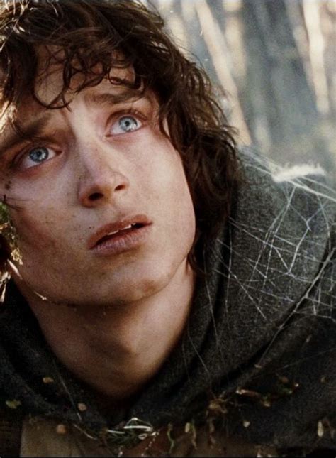 Pin By Priskitl On Lotr Frodo Baggins Lord Of The Rings The