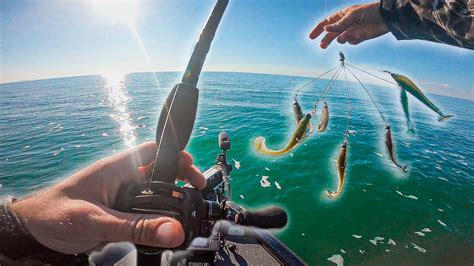 This A Rig Catches Giant Cold Water Smallmouth Youtube