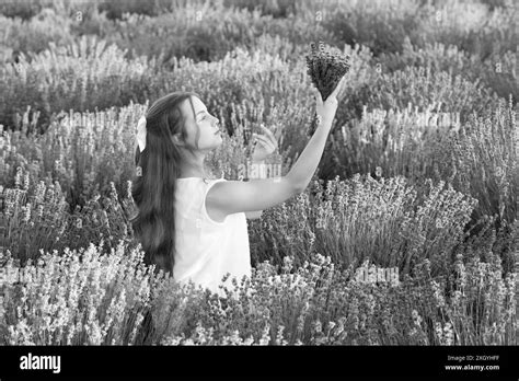 Girl Walk Through Lavender Field In Summer Caucasian Girl In Lavender