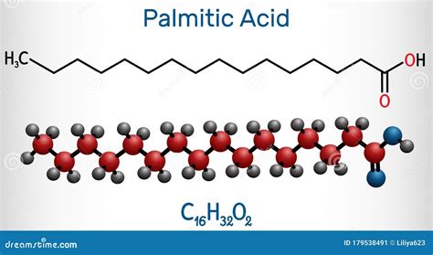 Palmitic Acid Or Hexadecanoic C16h32o2 Molecule It Is Saturated Fatty Acid Skeletal Chemical