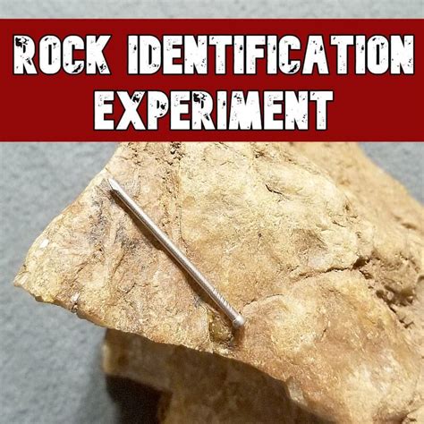 Sedimentary Rock Experiment