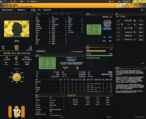 Dl 한국 국대출신 한번 써보셈 호펜하임 김진수 Fm2014 선수스탭 에펨코리아