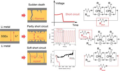 Three Types Of Dendrite Formation And Their Corresponding Charge