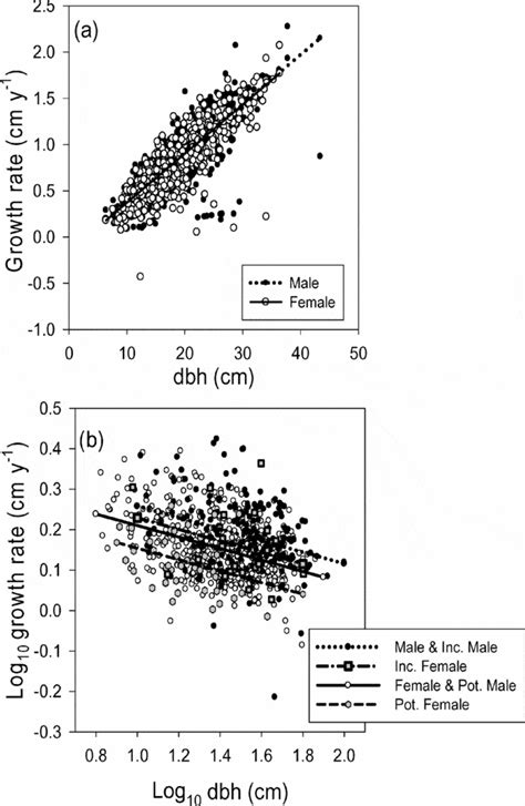 Population Structure Growth Rates And Spatial Distribution Of Two Dioecious Tree Species In A