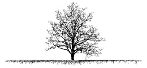 Anthropogenicanthropocentric And Reactionary Anthropogenicreactionary
