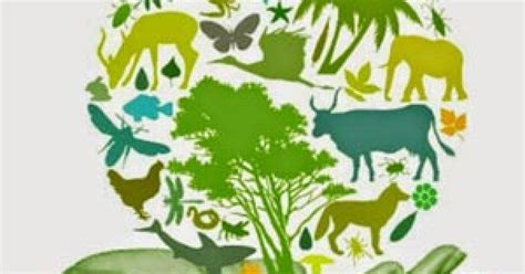 Сохранение Биоразнообразия Ключевой Фактор для Экосистем и Человечества — Teletype