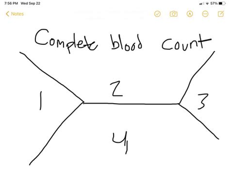Complete Blood Count Fishbone Flashcards Quizlet