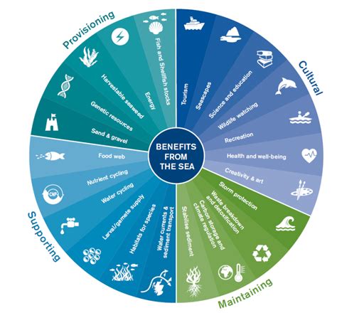 Ecosystem Services Natures Benefits Naturescot