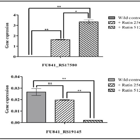Relative Expression Profiles Of Two Genes A The Expression Of