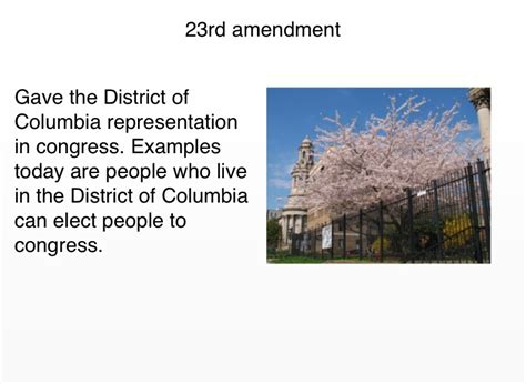 23rd Amendment Examples