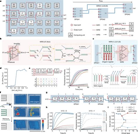 Intra And Inter DPGA Transmission Mediated By Wiring Instructions A A Download Scientific