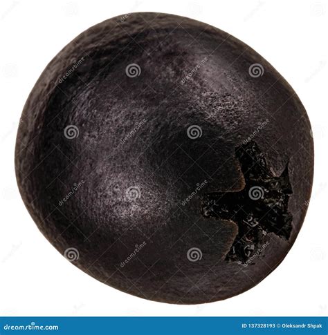 Black Oliv Isolated On A White Background With Clipping Path Stock Image Image Of Dark