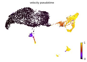 Scv Tl Velocity Pseudotime Setting Groupby Produces Nan Pseudotime