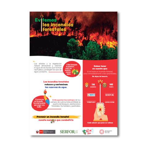 Evitemos Los Incendios Forestales Aula Ambiental