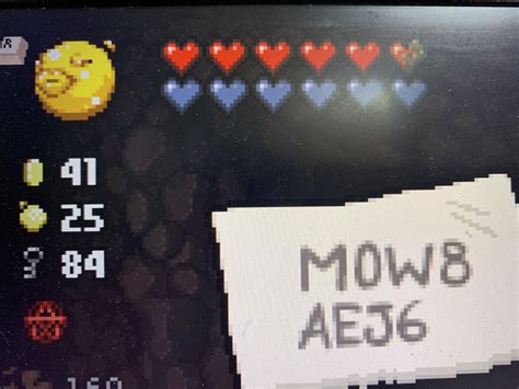 Is That A Bug Or What R Bindingofisaac