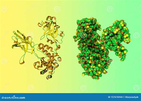 Crystal Structure And Space Filling Molecular Model Of Nucleotide Free Diphtheria Toxin