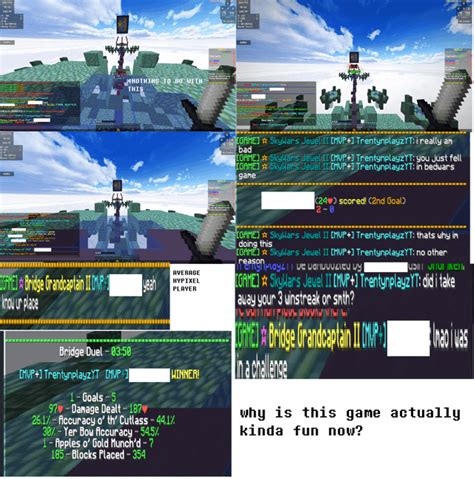 Average Video Game Player R Hypixel