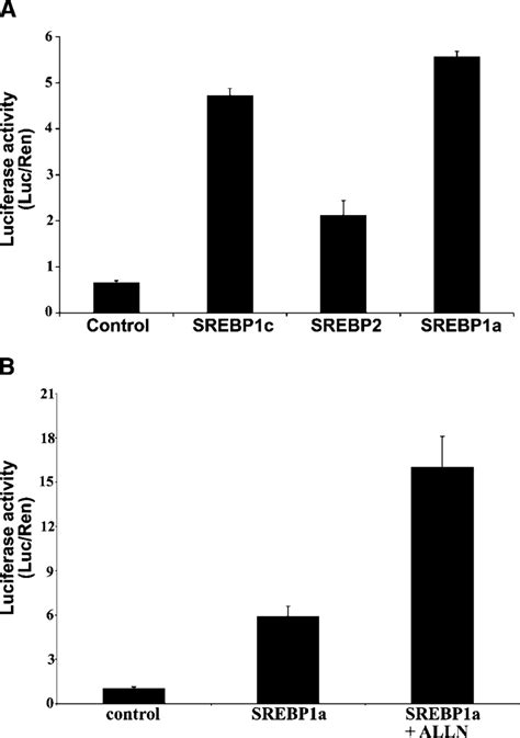 The Sterol Regulatory Element Binding Protein SREBP Induces NPC