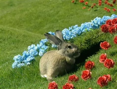 Image Teletubbies Rabbitpng Teletubbies Wiki Fandom Powered By Wikia