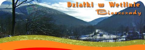DZIA KA W WETLINIE BIESZCZADY