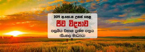 Download Sinhala Medium 2019 Al Biology Past Paper With Marking