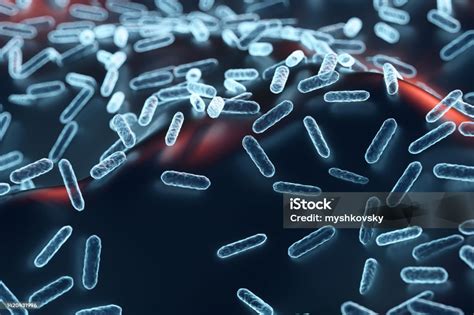 장내 세균 그람 음성 막대 모양의 박테리아 장내 미생물의 일부 및 다른 감염의 원인 물질 3d 렌더링 대장균 Klebsiella