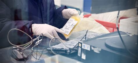 Hemobrás Tem Recorde Histórico De Coleta E Aproveitamento De Plasma De
