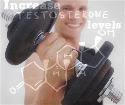 Increase Your Testosterone Levels Maca Powder Benefits