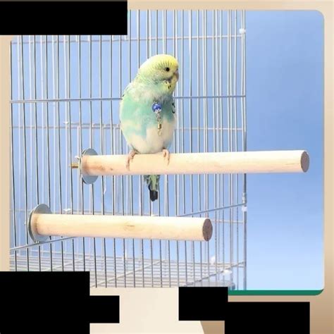 Parrot Wood Bird Perch Paw Grinding Stand Pet Cage Hanging Swing Toy