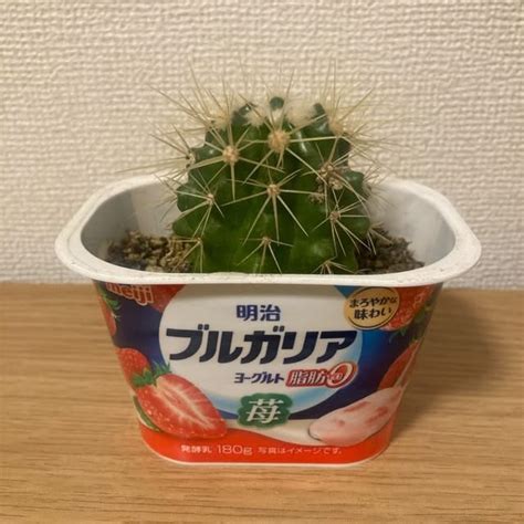 あやの Ayanosu • Threads Say More あやの Ayanosu • Threads Say More